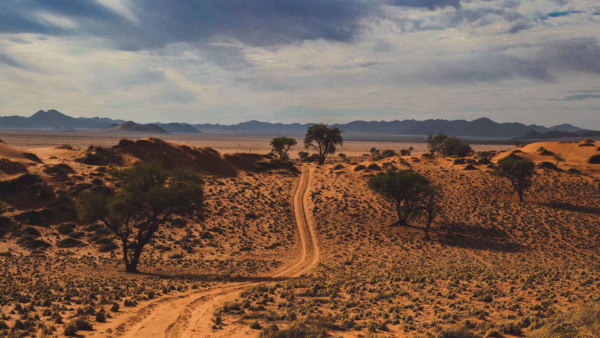 Namibia - The World Race | Christian Mission Trips